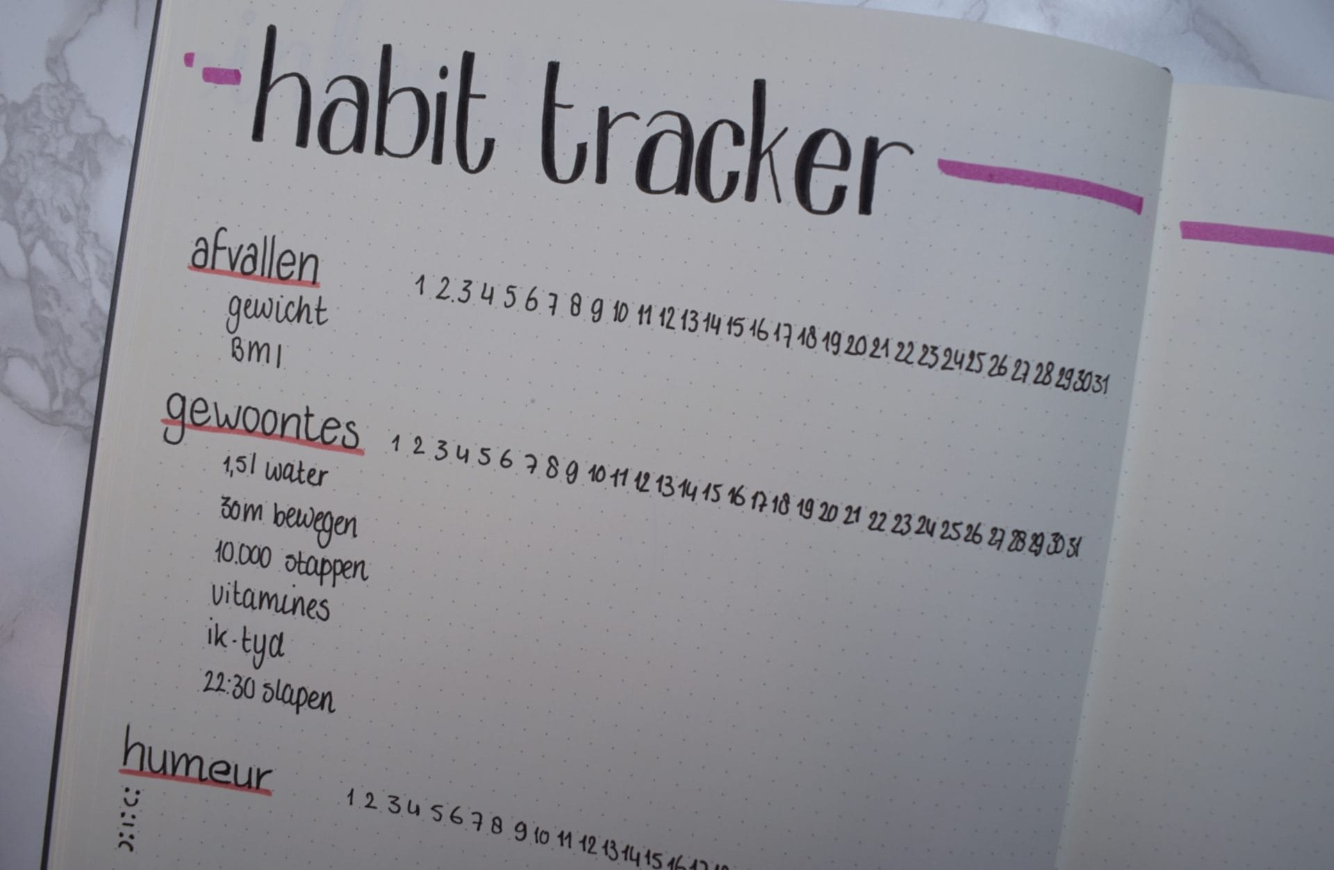 Mijn bullet journal setup voor mei • Tante Truus Kan Alles