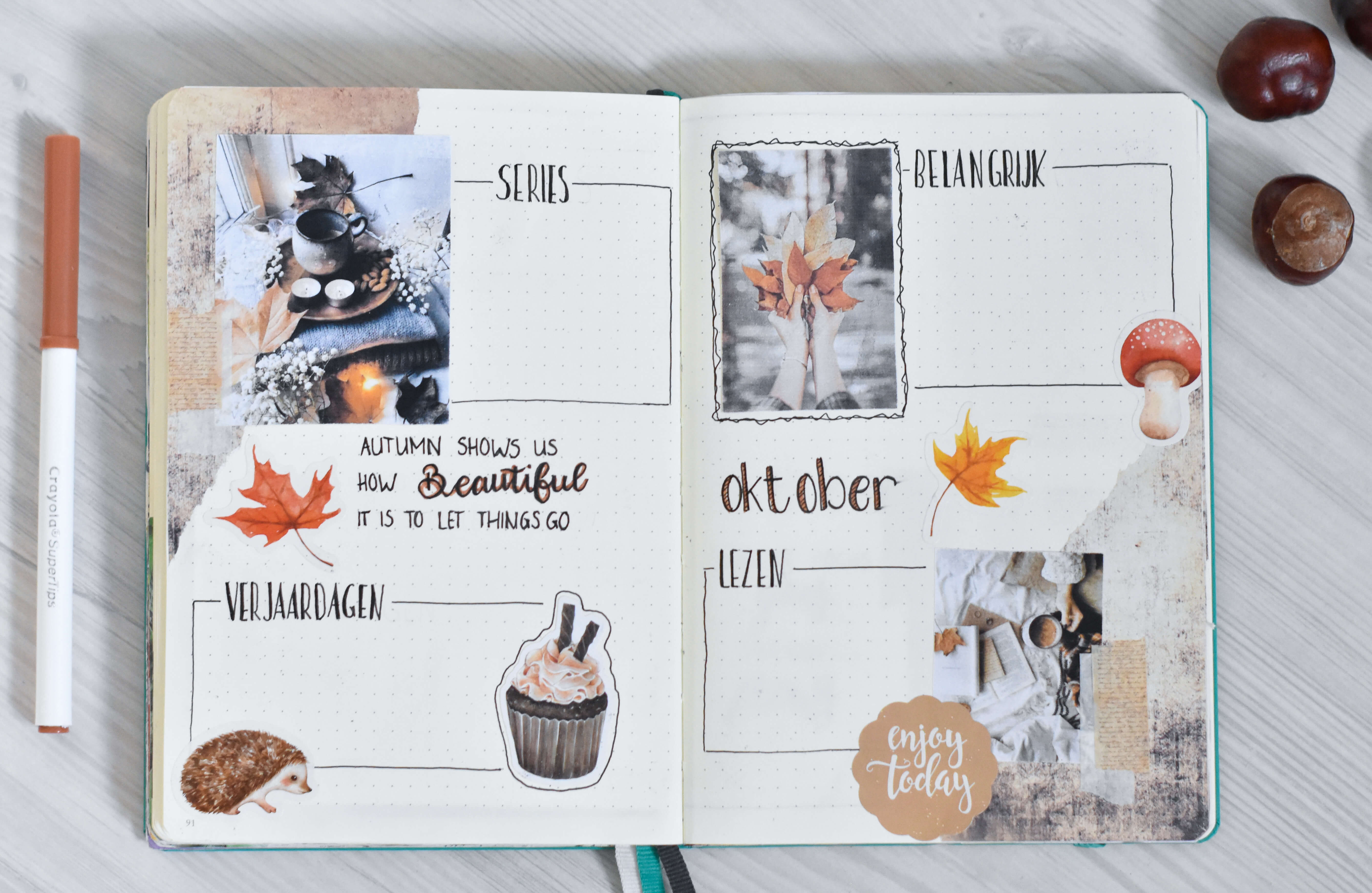 De setup van mijn bullet journal in oktober • Tante Truus Kan Alles