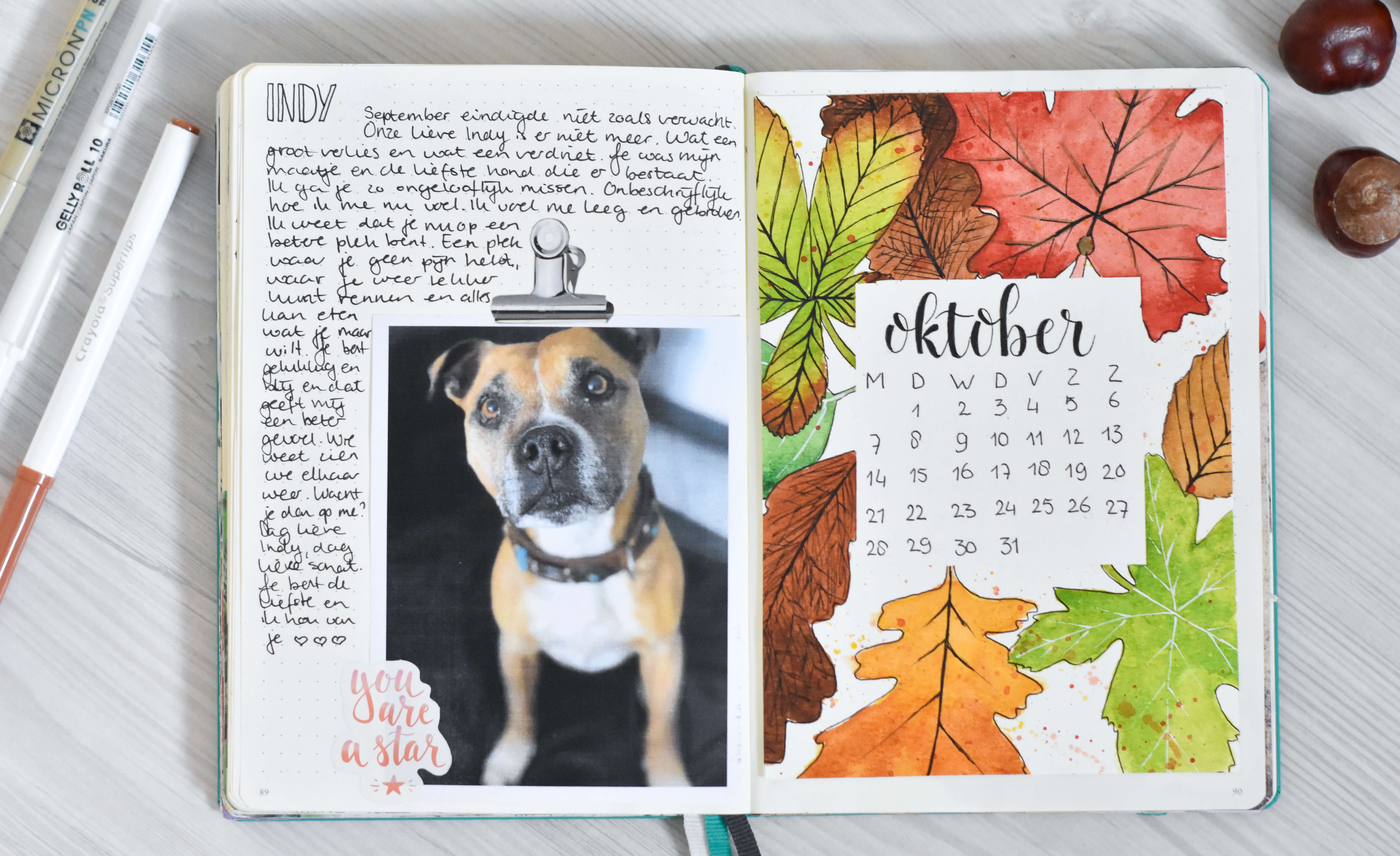 De setup van mijn bullet journal in oktober • Tante Truus Kan Alles